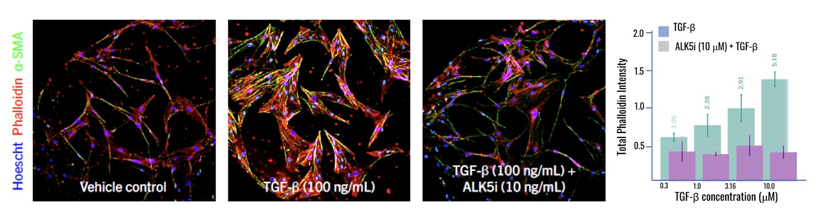 High-content Cellular Imaging Assays Designed to Enable Discovery and ...