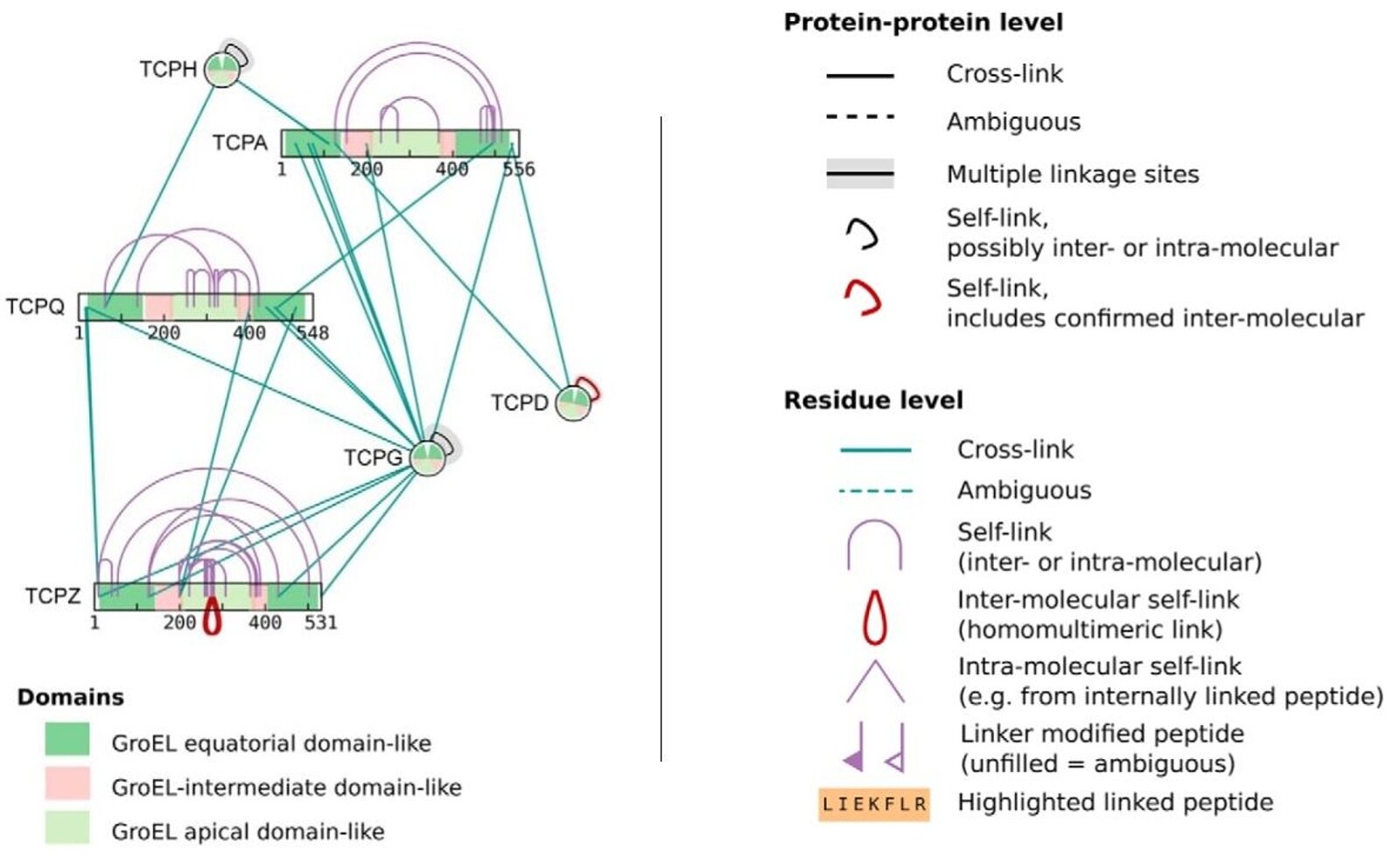 Four of the Best Free Tools for Molecular DataViz | Scientist.com