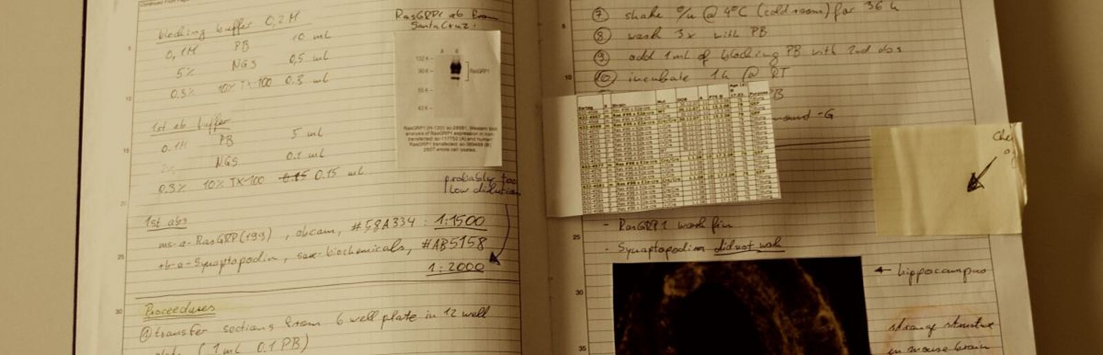 From Paper to Electronic Lab Notebook With Labfolder | Scientist.com