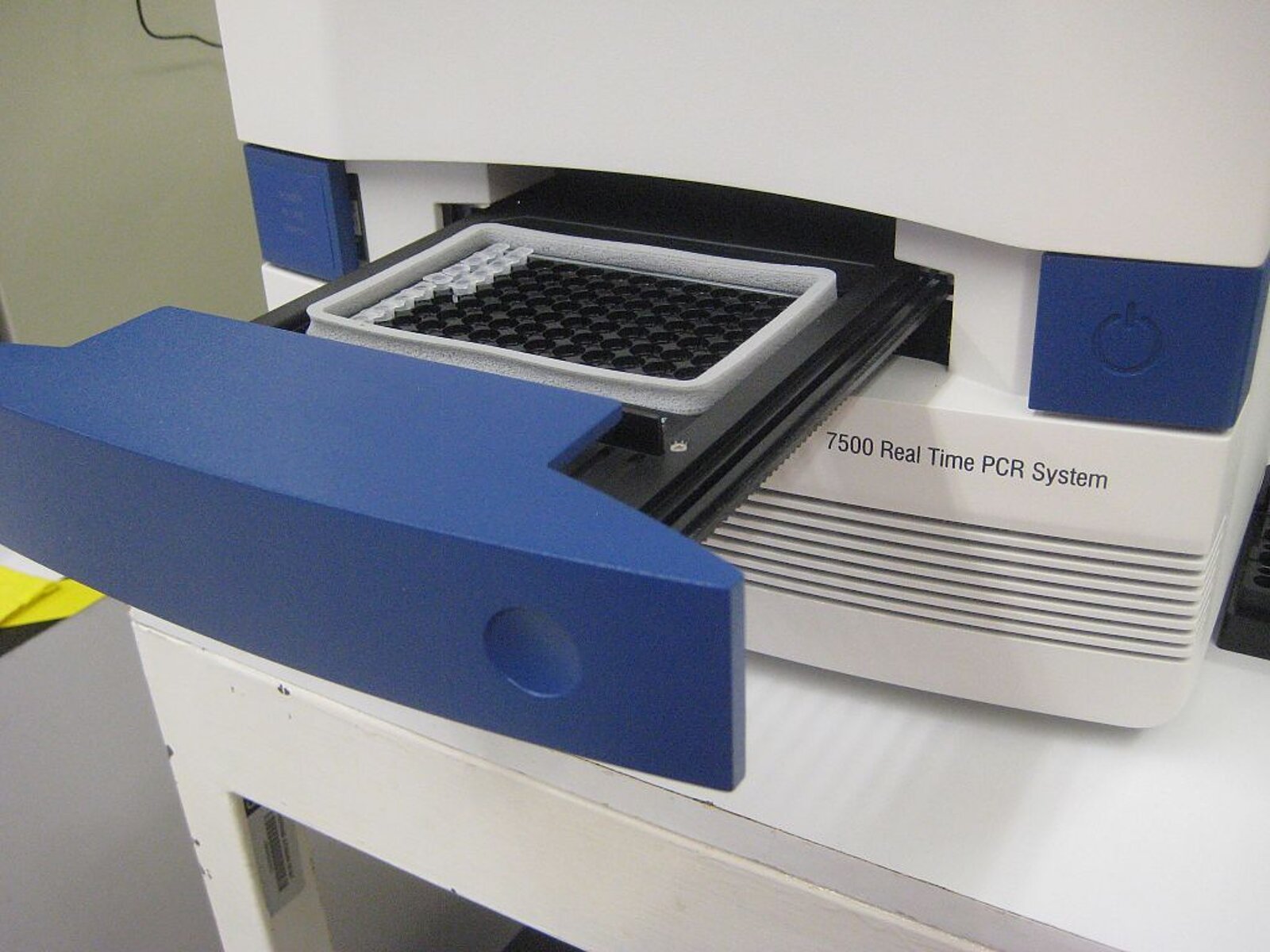 Top 10 qPCR Analysis Services | Scientist.com