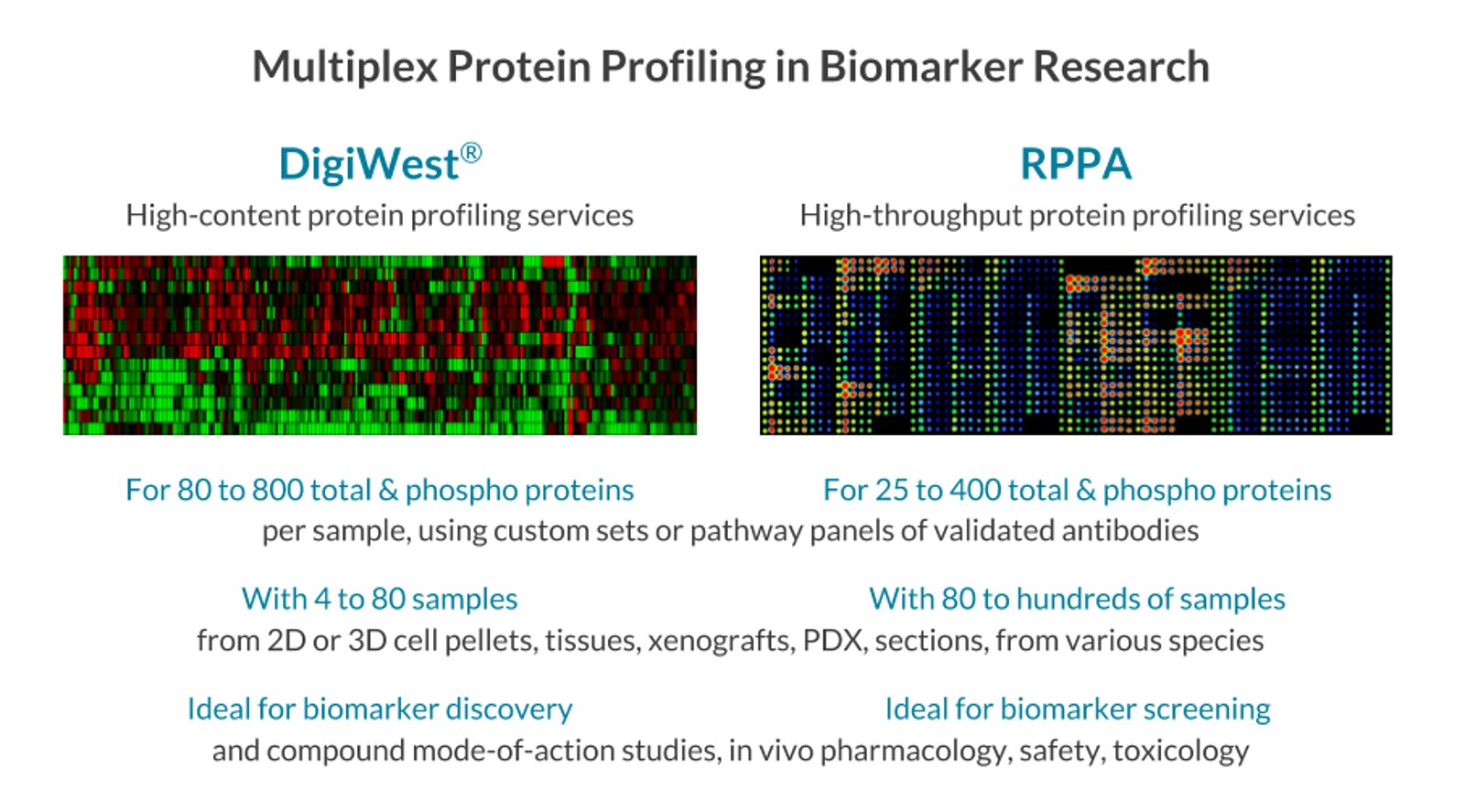 DigiWest®: Multiplex Profiling of Proteins for Biomarker Discovery ...