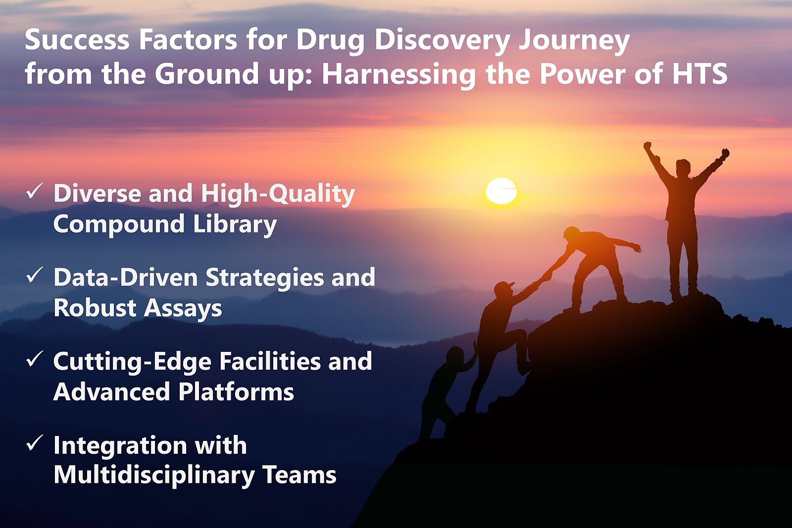 Success Factors for Drug Discovery Journey From the Ground Up ...
