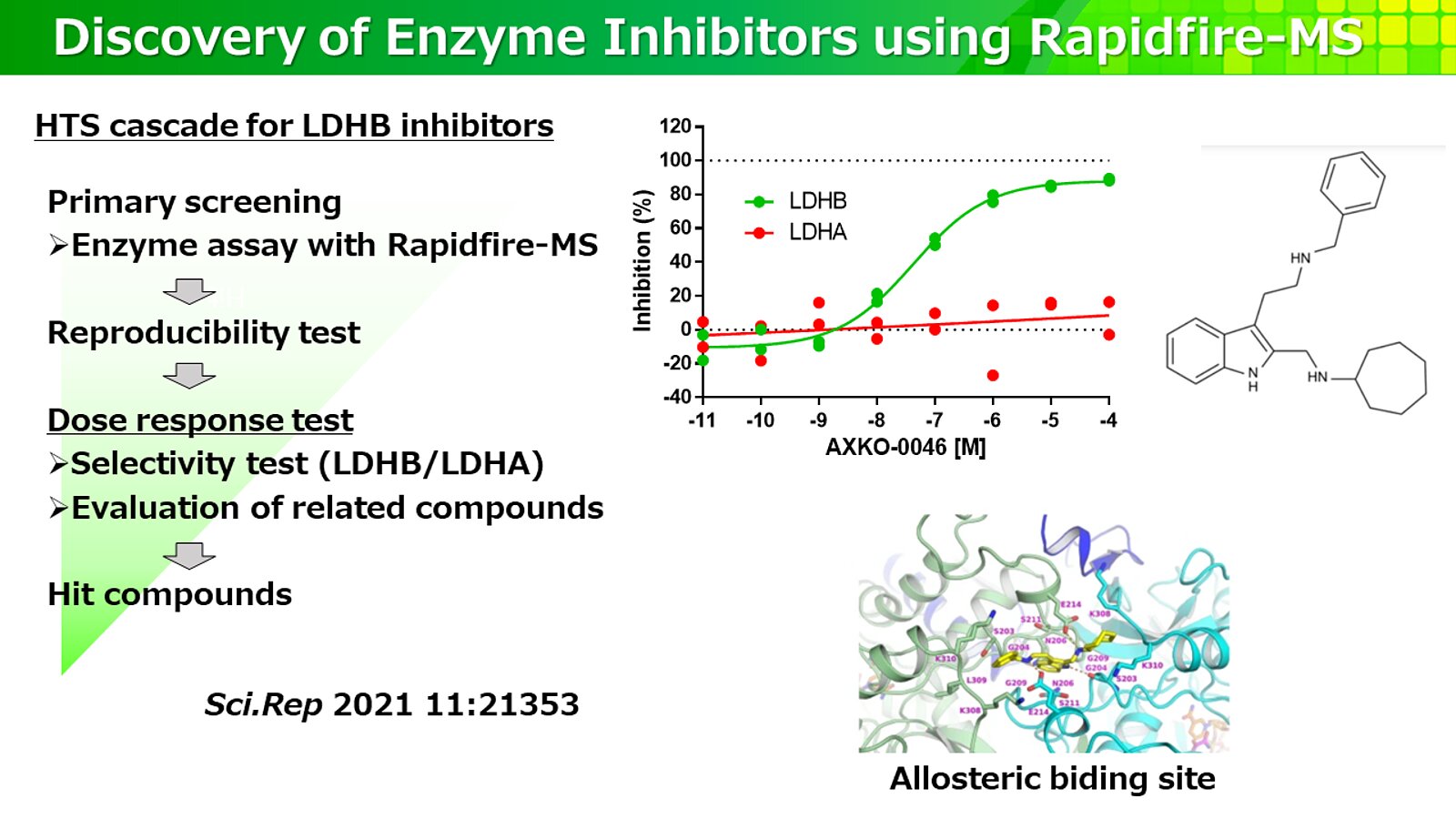 Success Factors for Drug Discovery Journey From the Ground Up ...