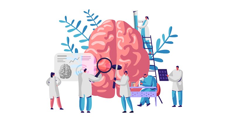 Cutting-Edge “BrainAGE” Algorithm Can Calculate Your Brain's Actual ...