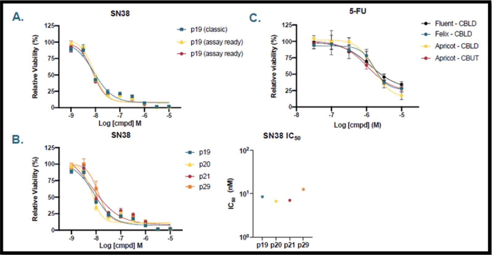 Empowering Drug Screening With Cancer Organoids - a Transformative Case ...