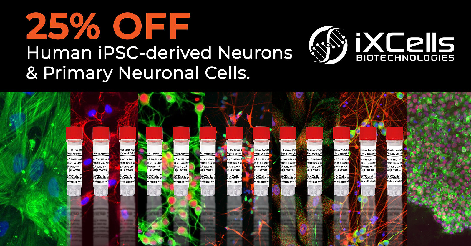 Now Save 25% on iXCells’ Industry-leading Human iPSC-derived Neurons ...