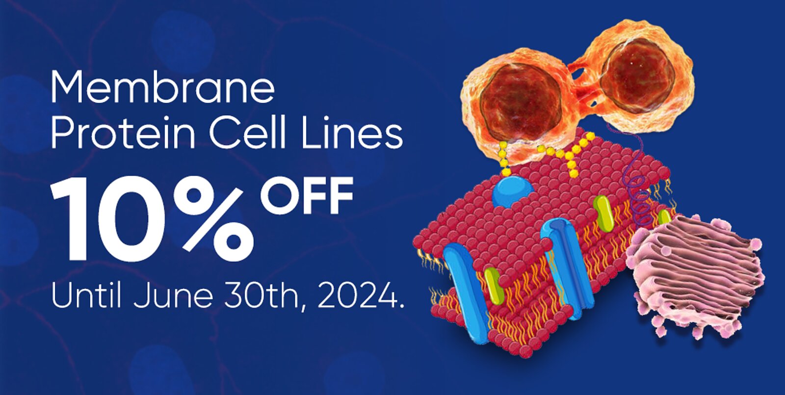 Creative Biolabs Offers 10% Off Membrane Protein Stable Cell Lines ...