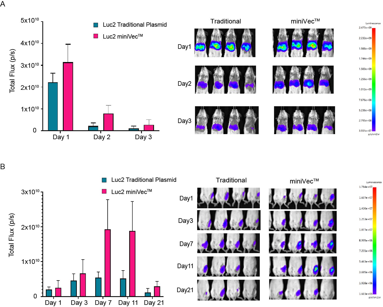 Enhancing Gene Delivery With Novel Miniaturized Plasmids: miniVec ...