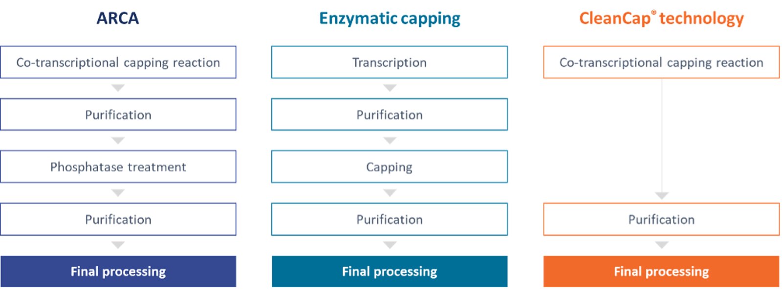 5 Things to Know About mRNA Capping for Next-Generation Vaccines and ...