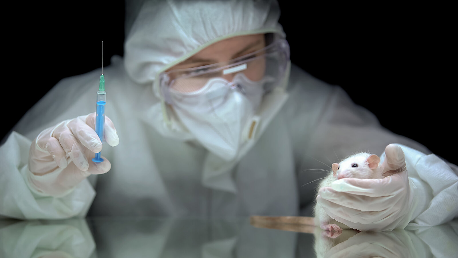FDA's Bold Stance on Animal Testing and AI in Research Signals the ...