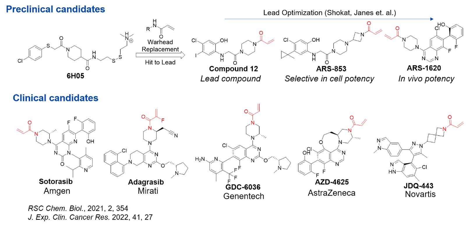 Chemistry Insights | How to Enhance Success Rate in the Discovery of Targeted Covalent ...