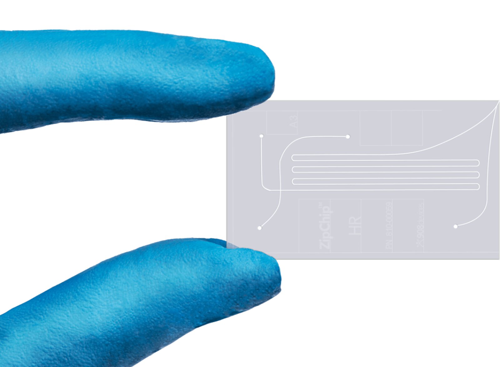 Innovation - One Step at a Time | Scientist.com