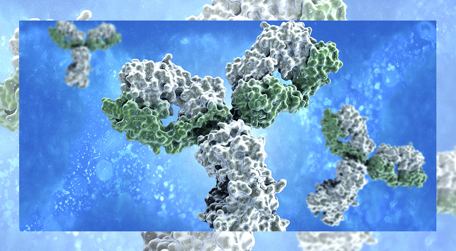 Producing High-Quality Antibodies | Scientist.com