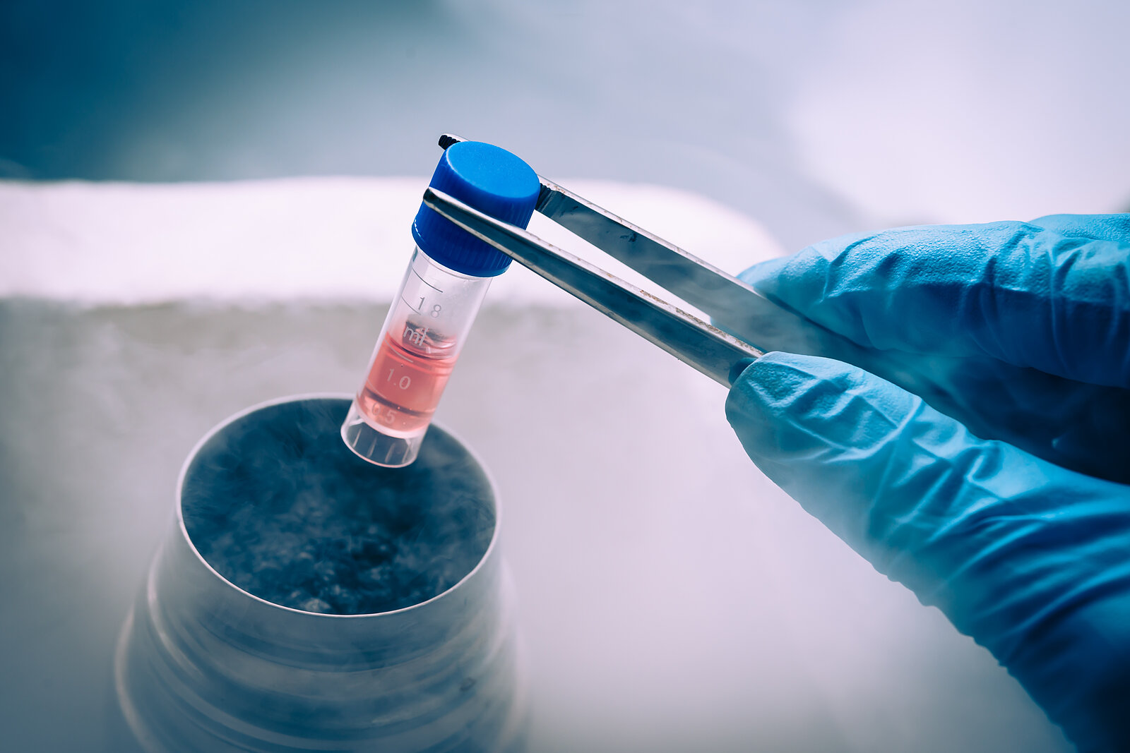 The Effects Of Sex Bias In Preclinical Research And How It Can Be