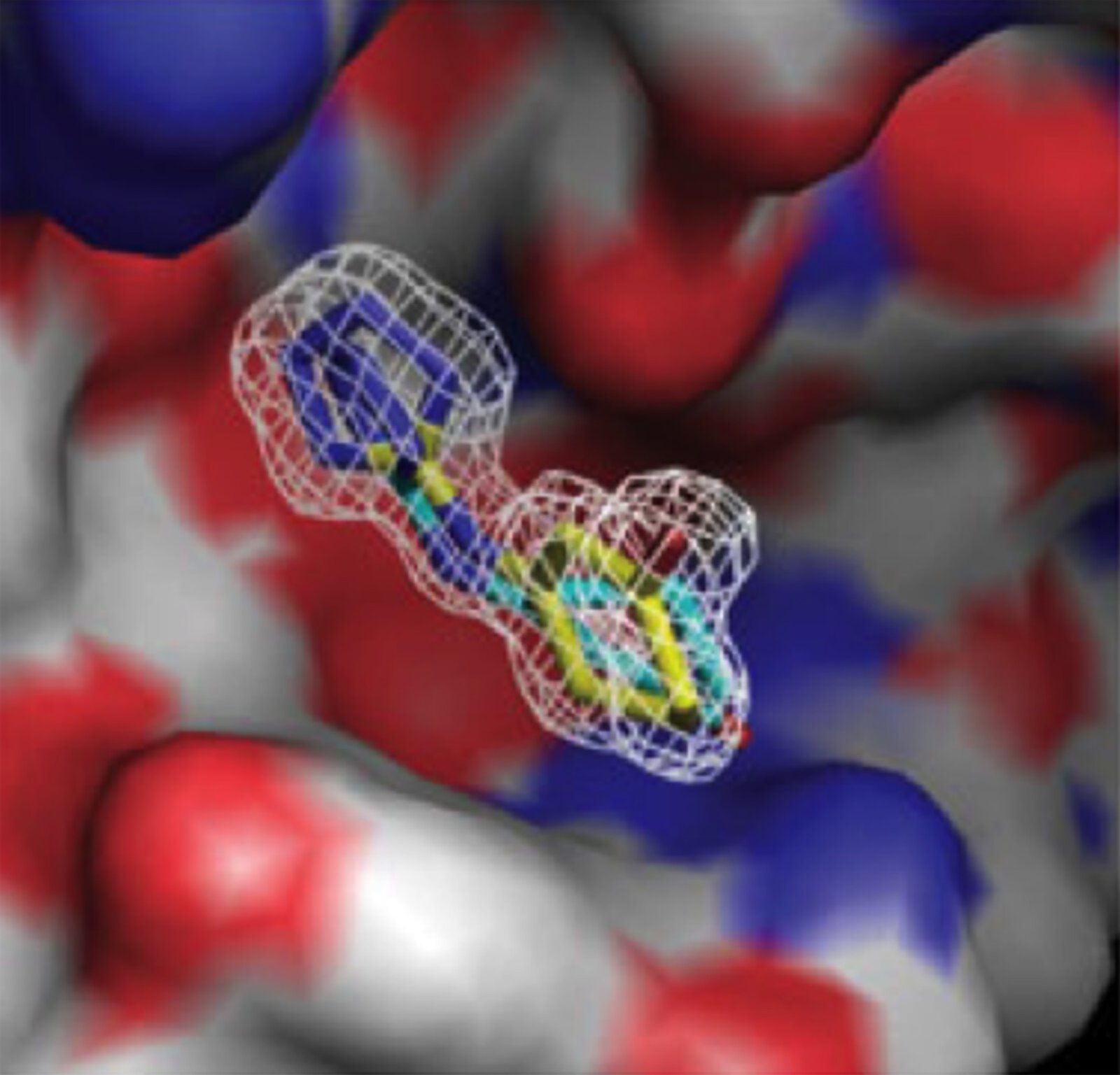 Hit Your Target With Fragment-based Drug Discovery | Scientist.com