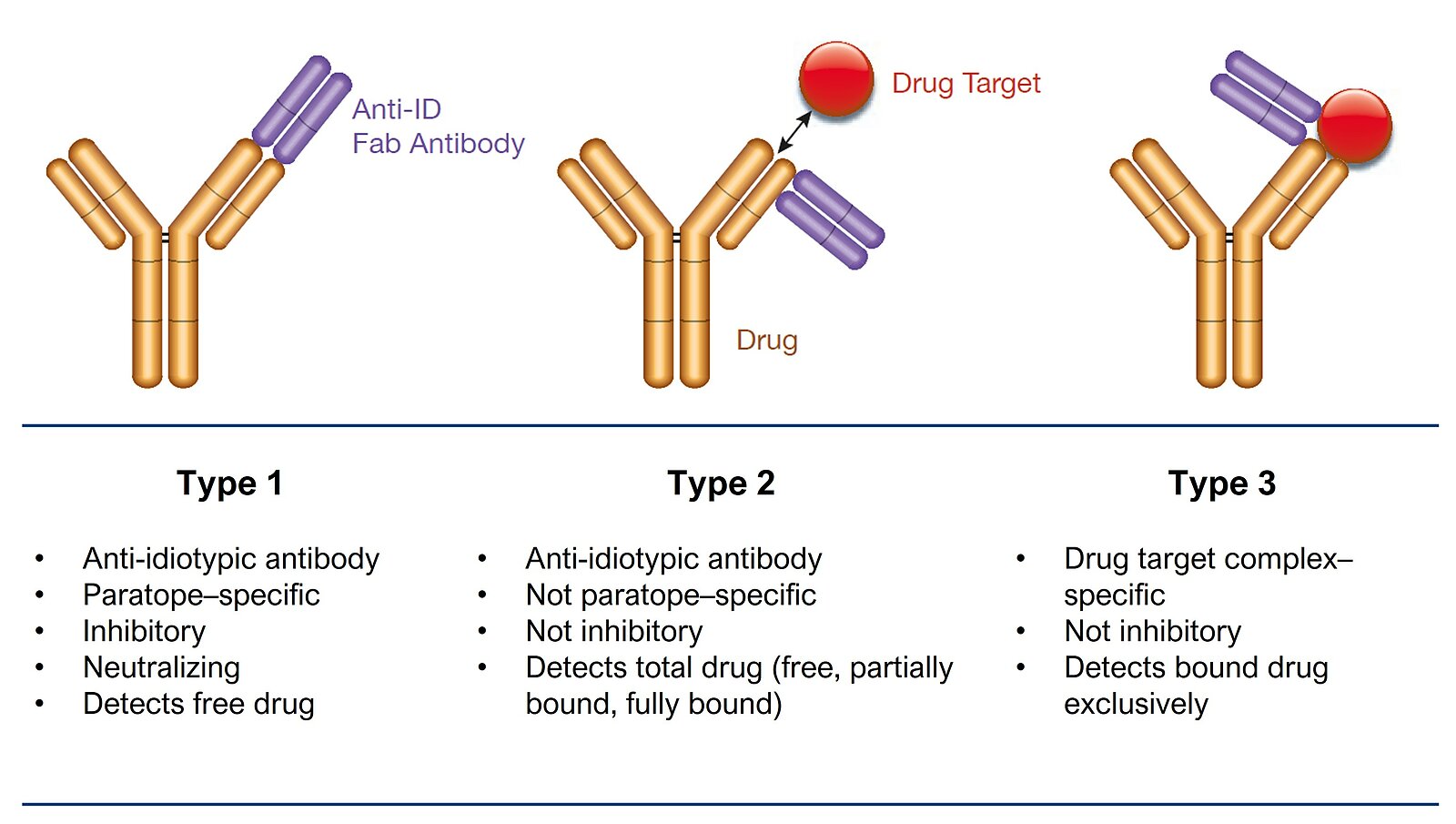 Transformative Antibody Technology Brings Speed and Flexibility to ...